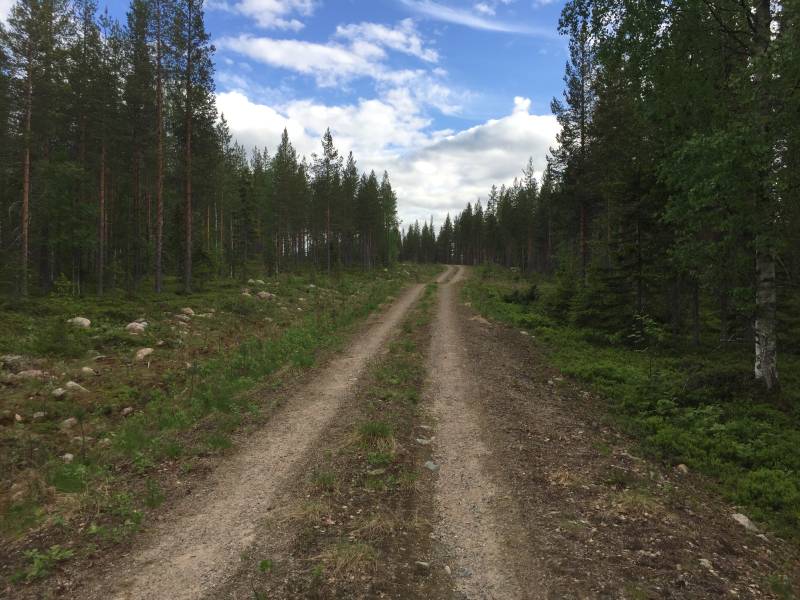 Bodens kommun - Brännspiken [SverigesTak]